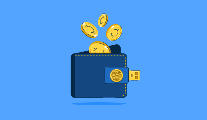 What Is a Hardware Wallet? How Does It Work